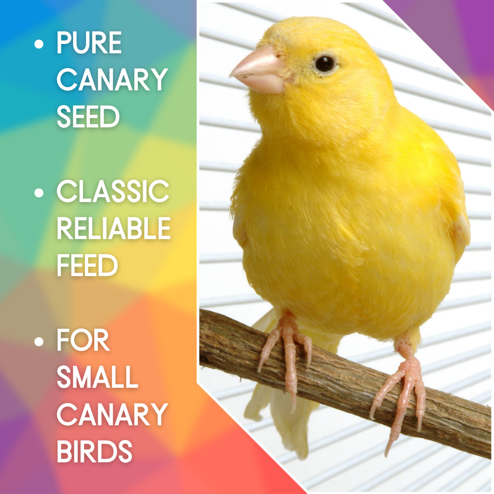 SkyGold Finest Plain Canary Seed 20Kg - Pets Apply