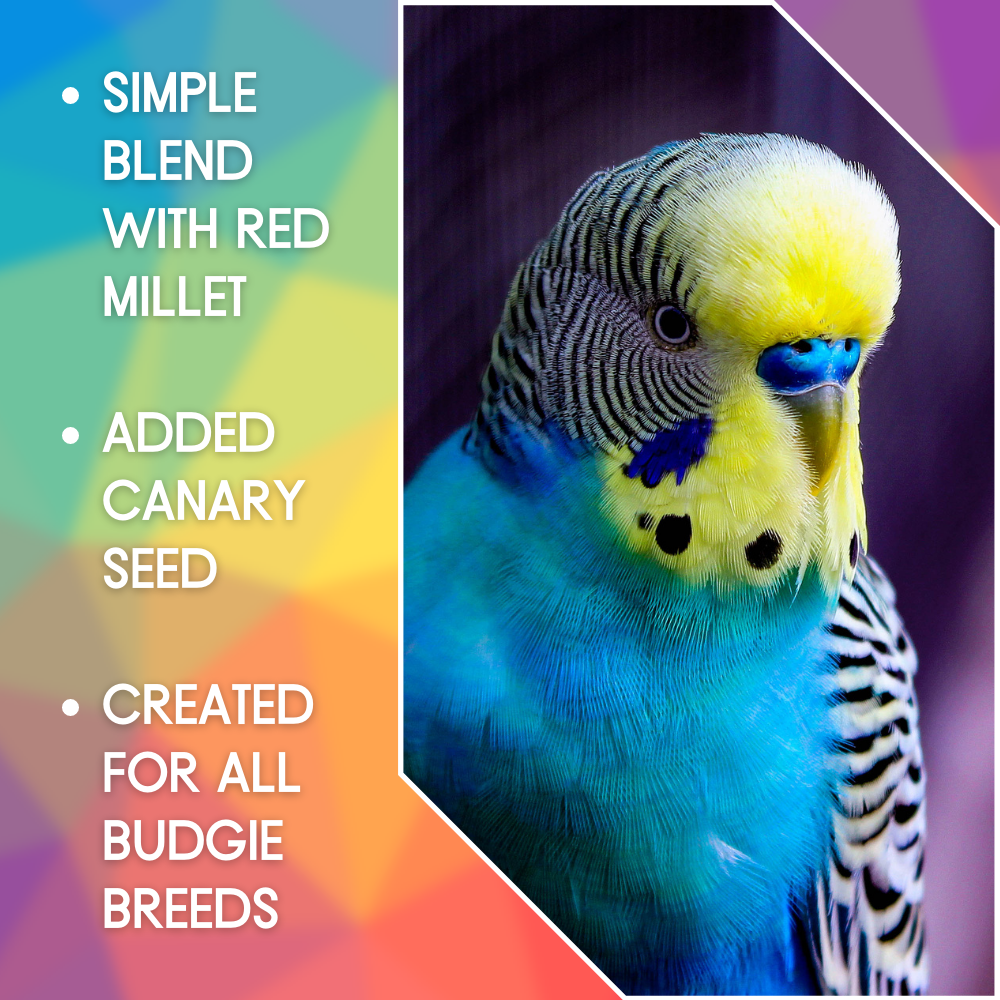 SkyGold Budgie Red 20kg - Gladwells Pet & Country Stores Online Shop