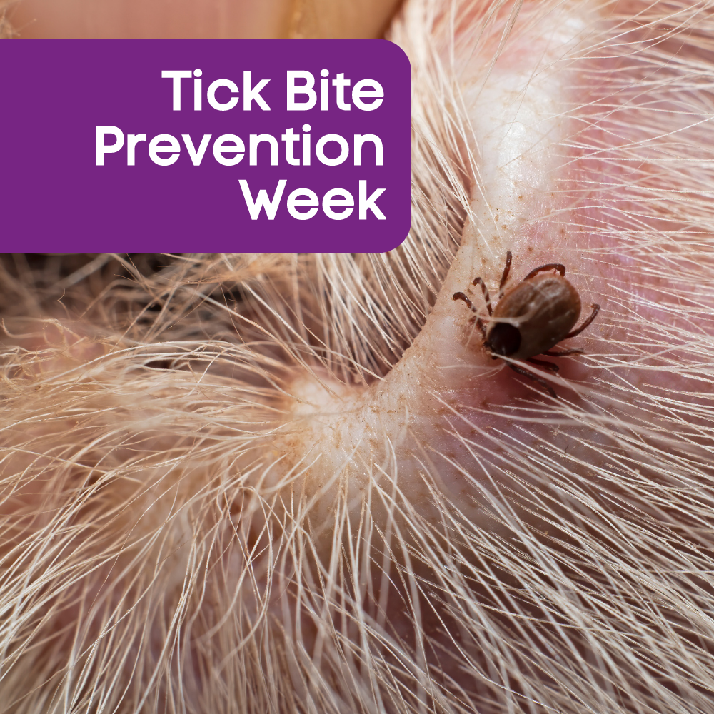 Tick Bite Prevention Week - Gladwells Pet & Country Store