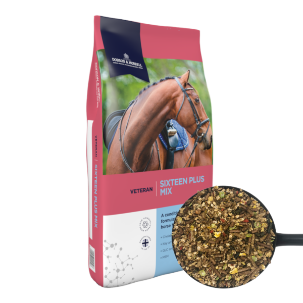 Dodson & Horrell 16 Plus Veteran Horse Mix 20kg
