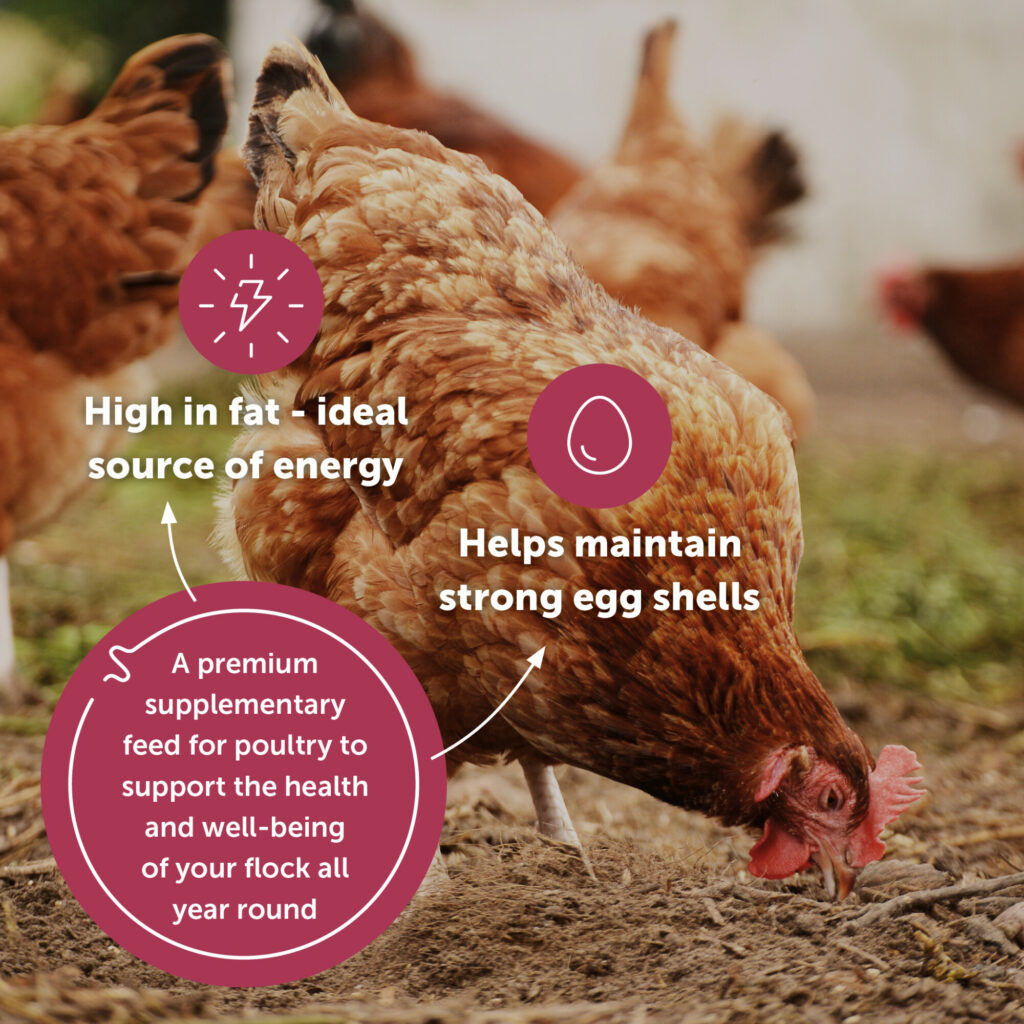 Copdock Mill Mixed Poultry Corn + Verm-X 20kg