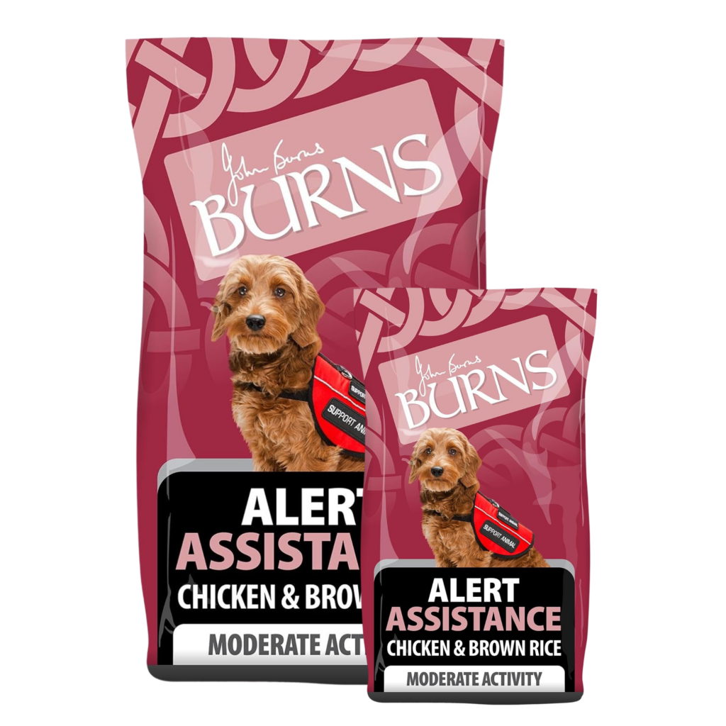 Burns Alert Chicken